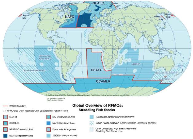 Regional Fisheries Management Organisations