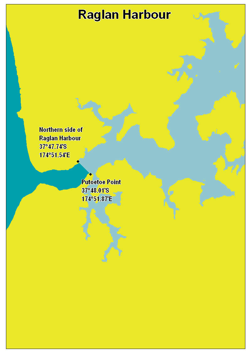 Maui's and Hector's dolphins regulations